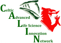Life Sciences Network CALIN launches in Ireland and Wales